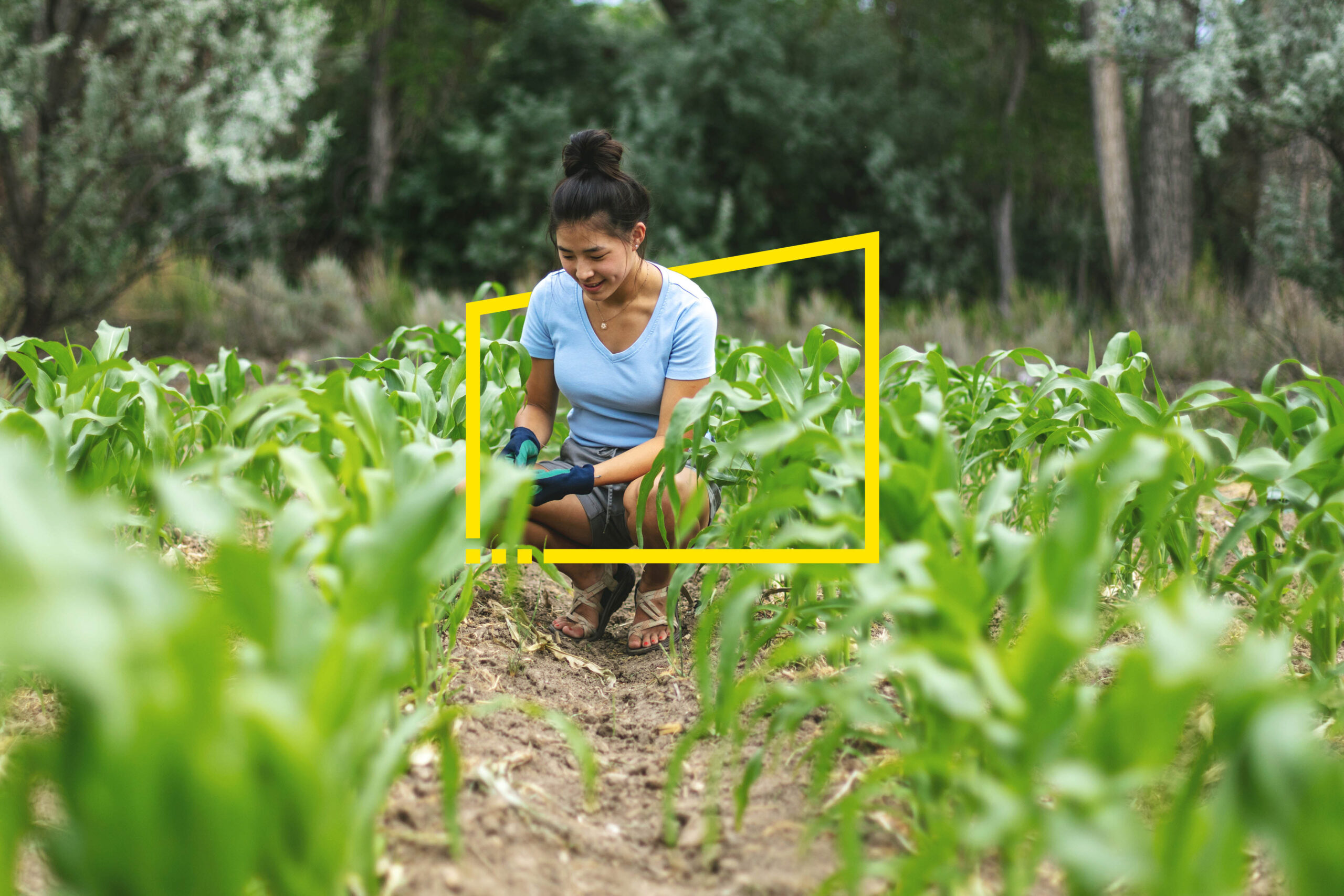 Empowering next generations for a sustainable future - FCC Times